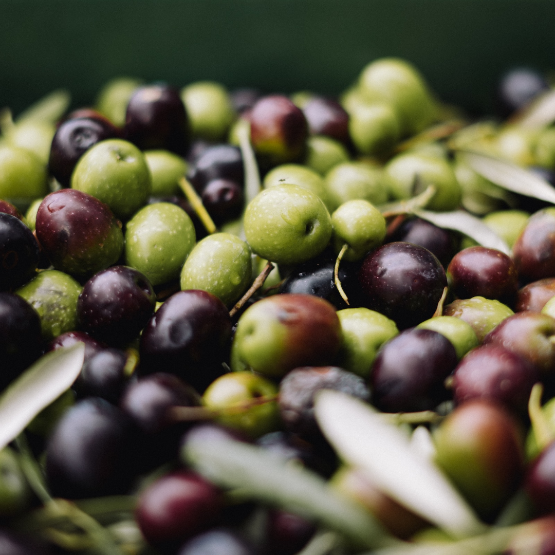 Olive – Belotti Conserve